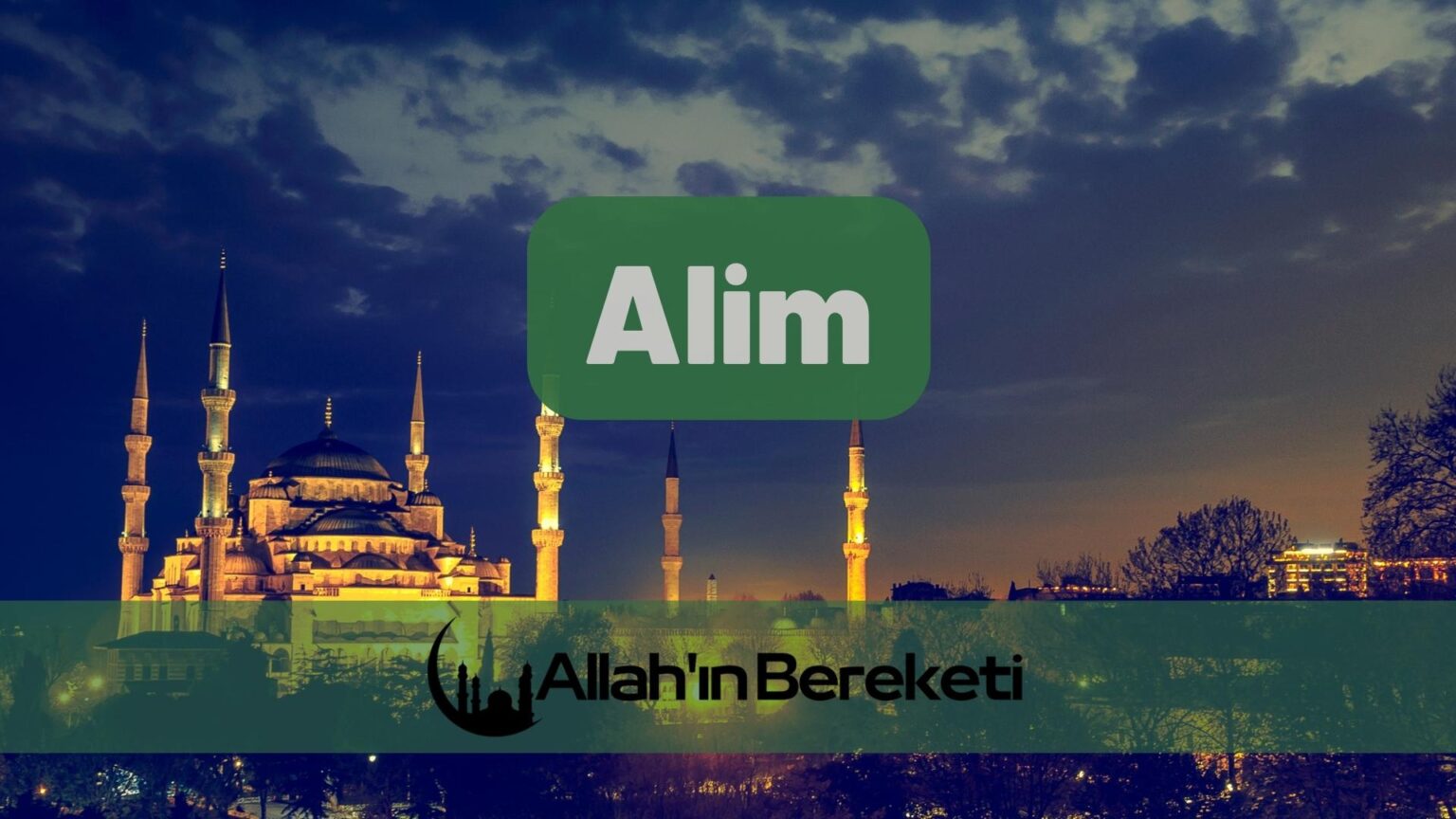 Alim Anlamı Nedir? 3 Farklı Açıklaması Nedir? | Allah'ın Bereketi ...
