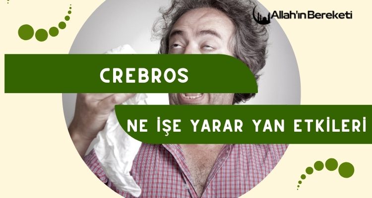 Crebros Nedir? Ne İŞe Yarar? » Fit Ve Form – IXXLIQ